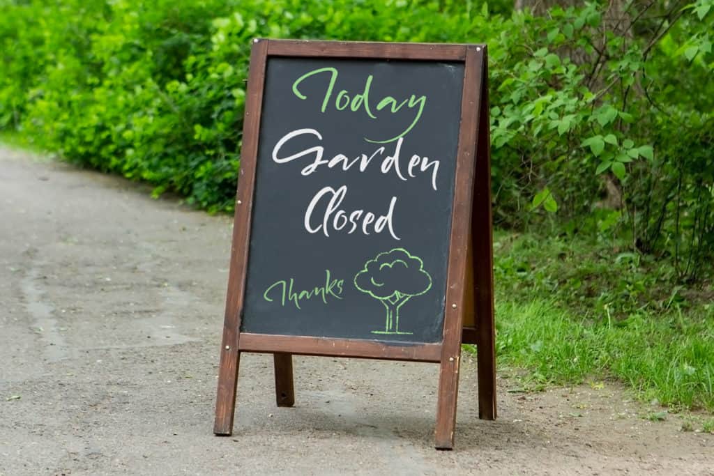 Scribble Handwriting Font | Worth to Buy | Worth to Buy