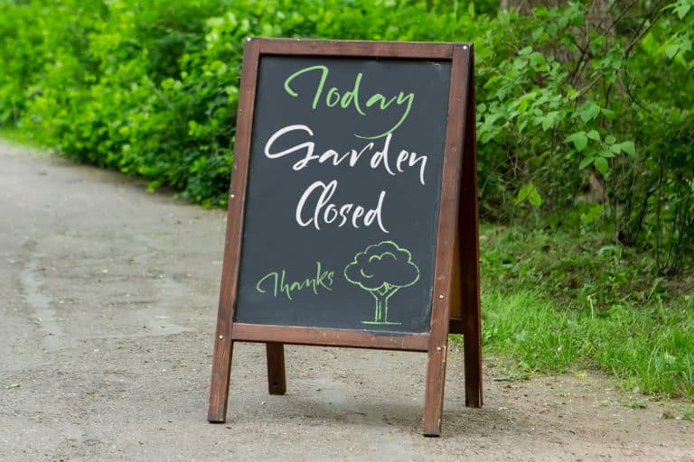 Scribble Handwriting Font | Worth to Buy | Worth to Buy